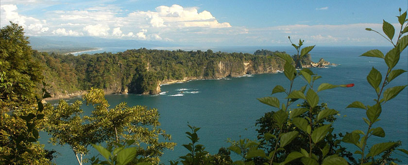 Parcul National Carara - Costa Rica